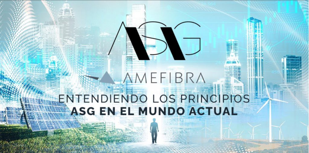 ASG. Entendiendo los principios ASG en el mundo actual | AMEFIBRA